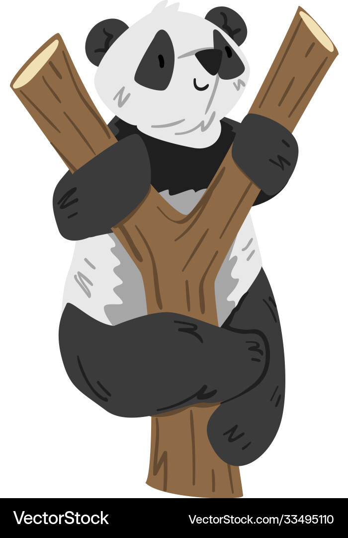 Cute panda bear climbing on tree stem funny wild Vector Image