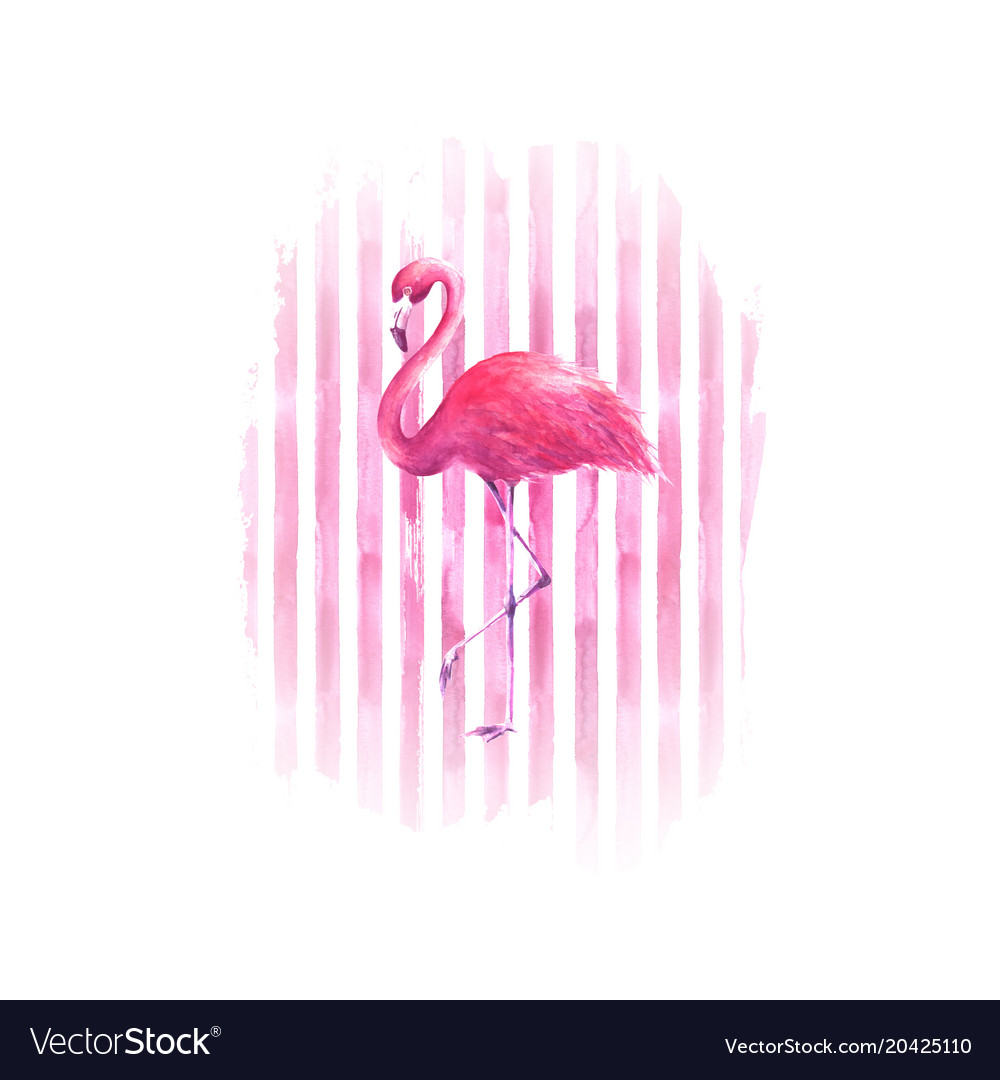 Flamingo on watercolor pink striped background Vector Image