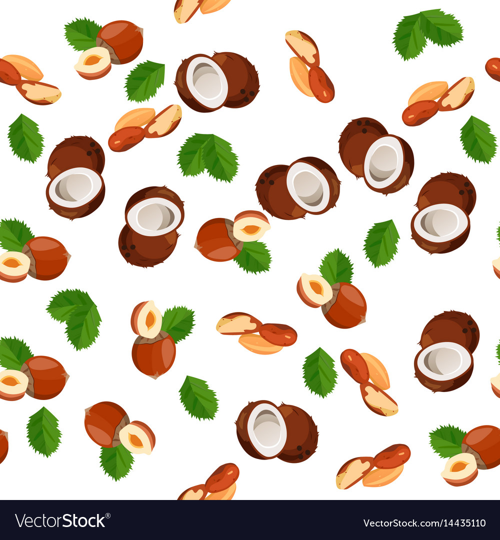 Nuts Royalty Free Vector Image - VectorStock