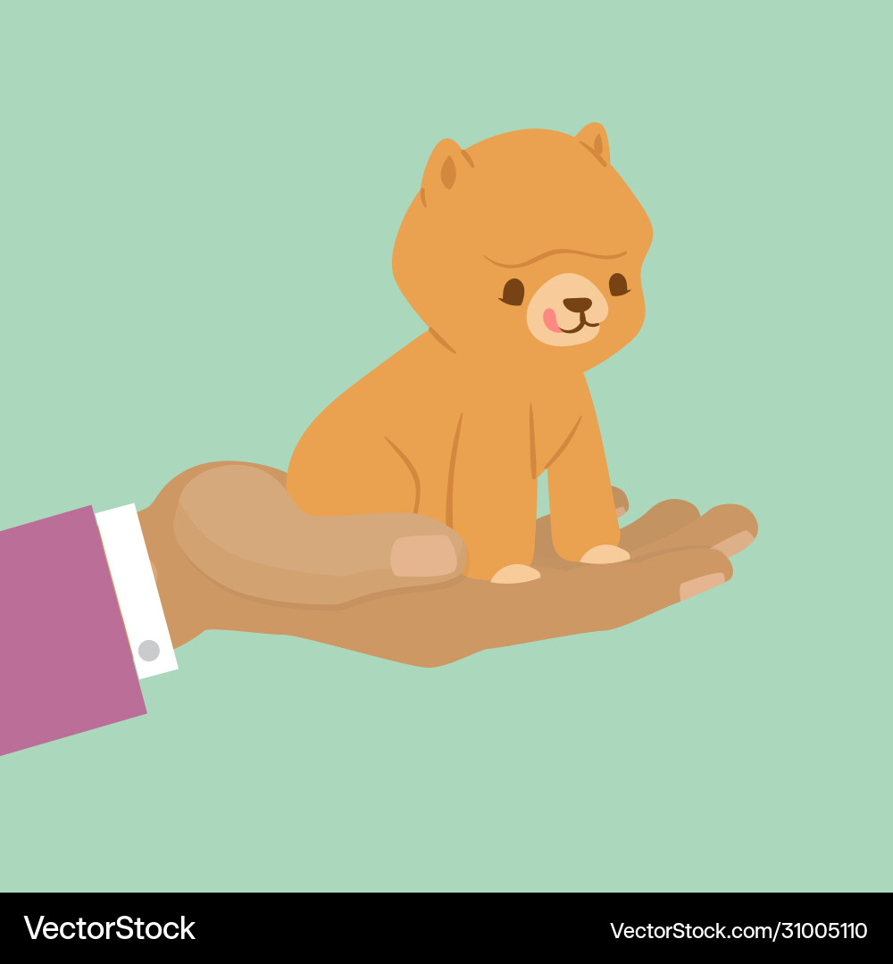 Pet kitten for gift cute cat on hand present Vector Image