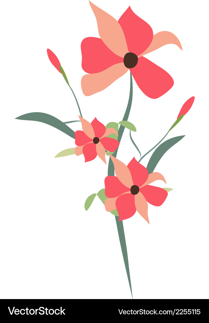 Beauty floral bouquets Royalty Free Vector Image