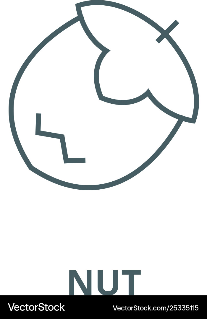 Nut line icon linear concept outline sign Vector Image