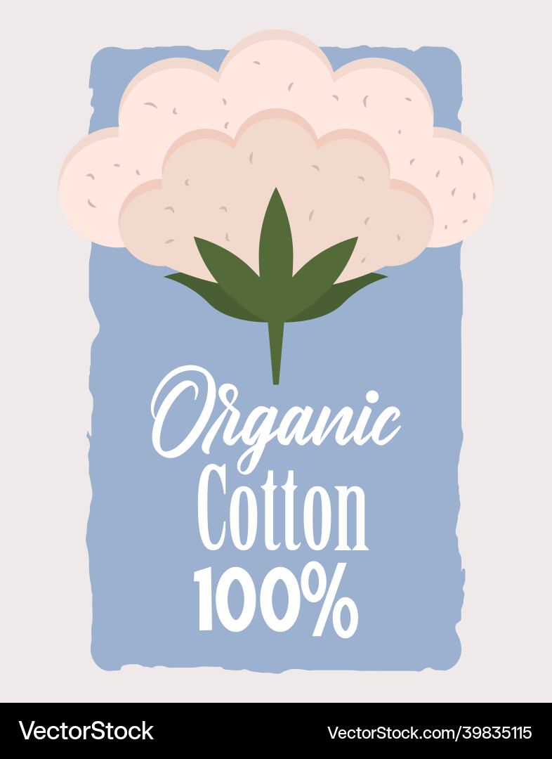 Organic cotton natural Royalty Free Vector Image