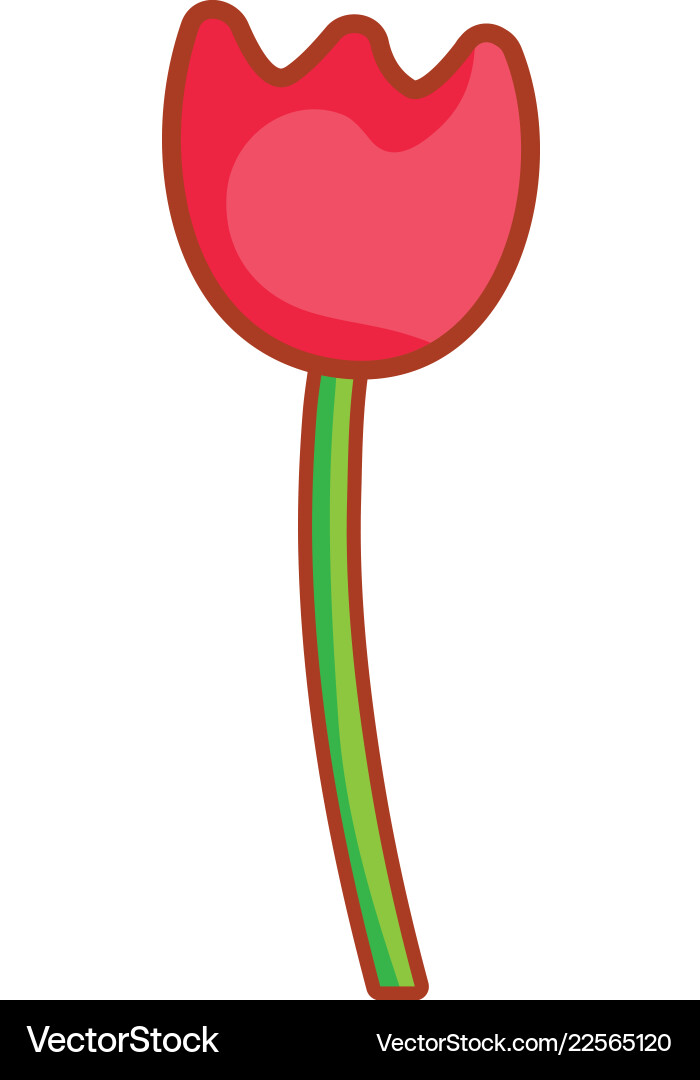 Flowers and base cartoon Royalty Free Vector Image