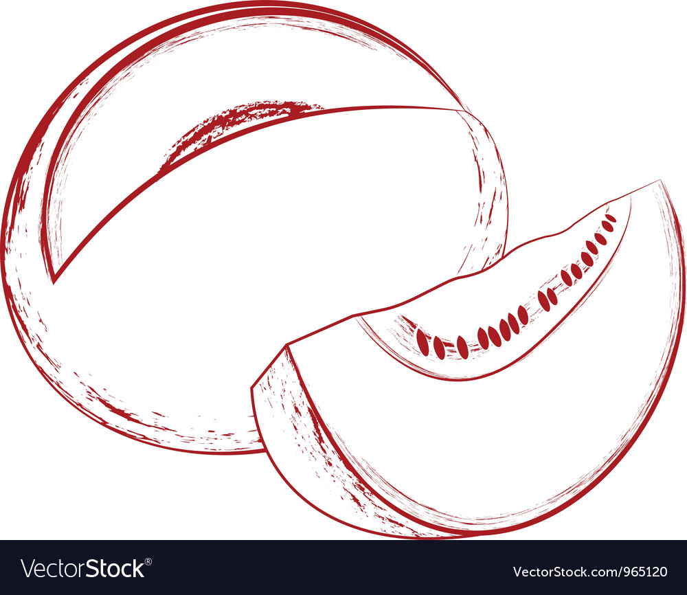 Melon Royalty Free Vector Image - VectorStock