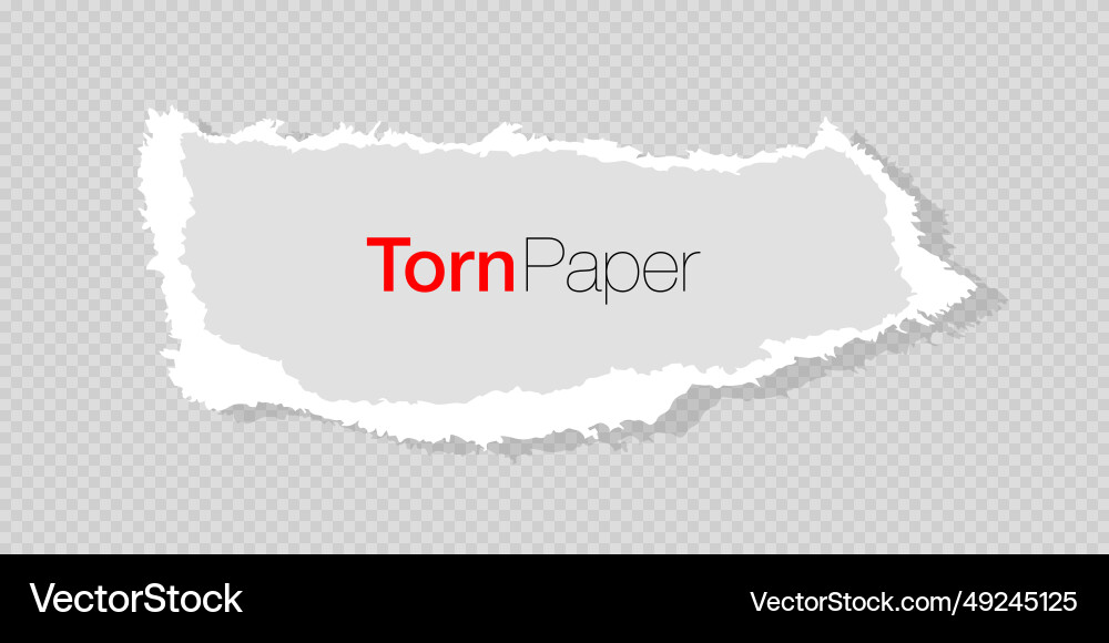 Ripped paper strip torn with edges Royalty Free Vector Image