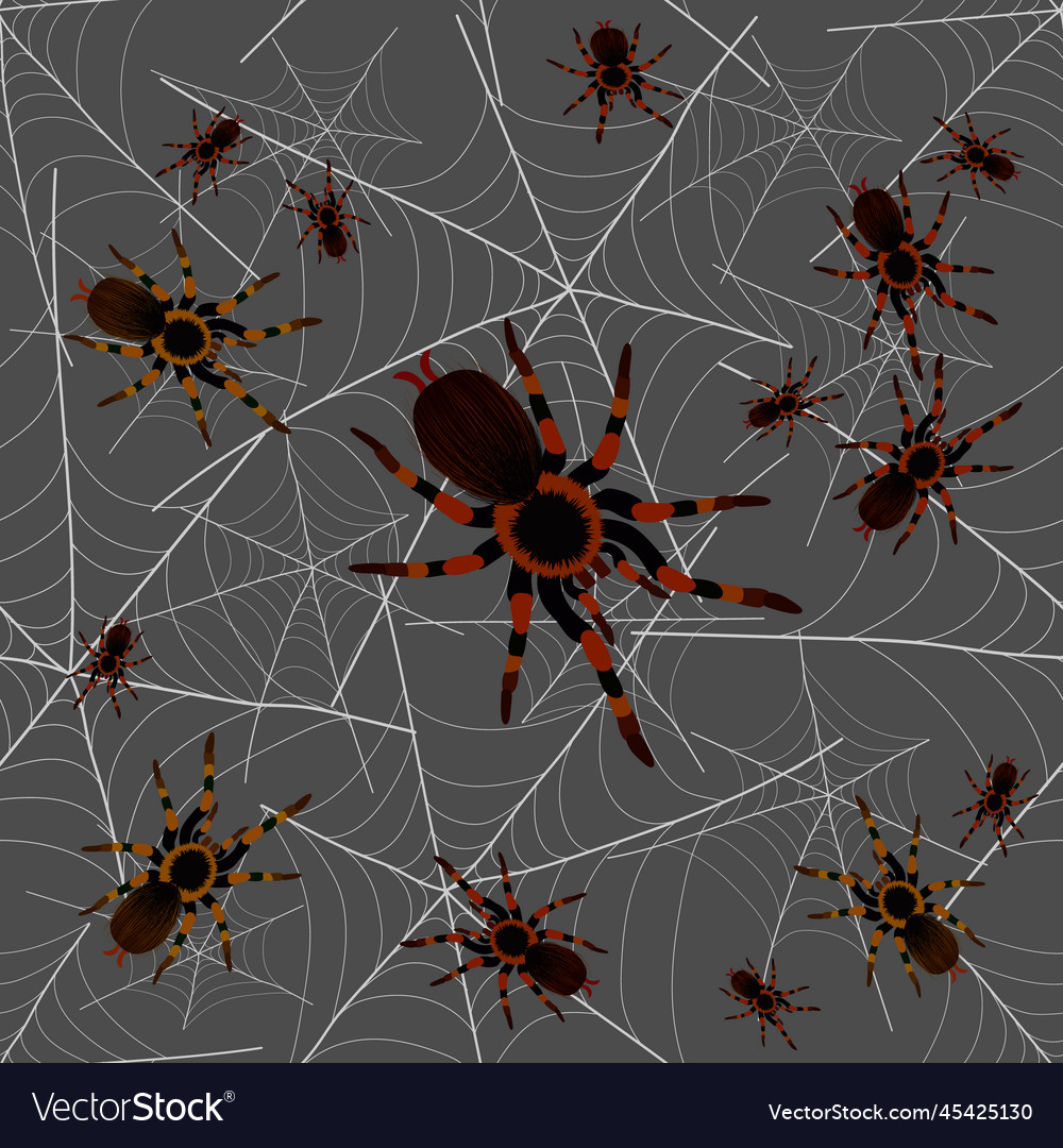 Bright spiders on the web Royalty Free Vector Image