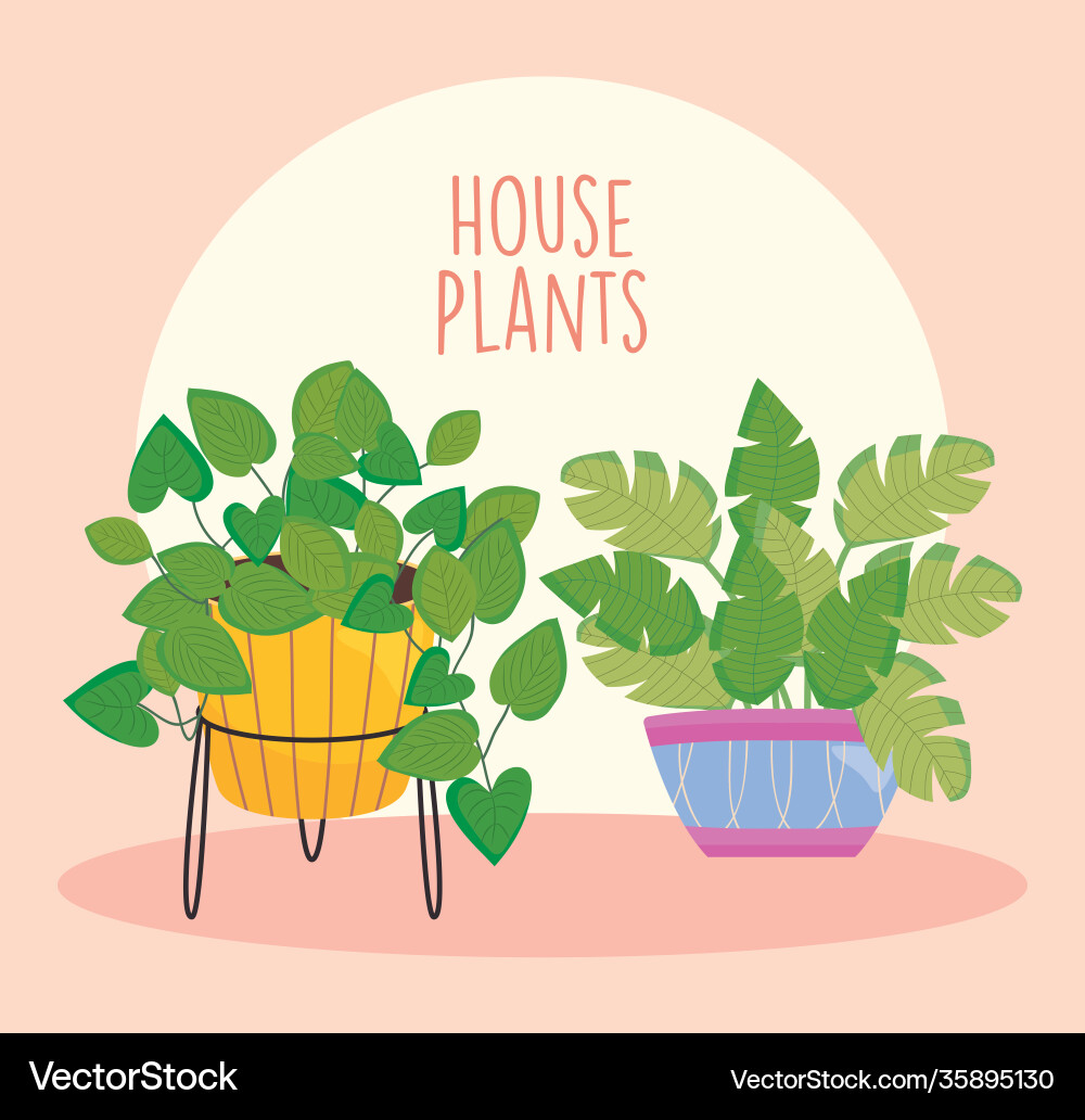 House plants design with beautiful Royalty Free Vector Image