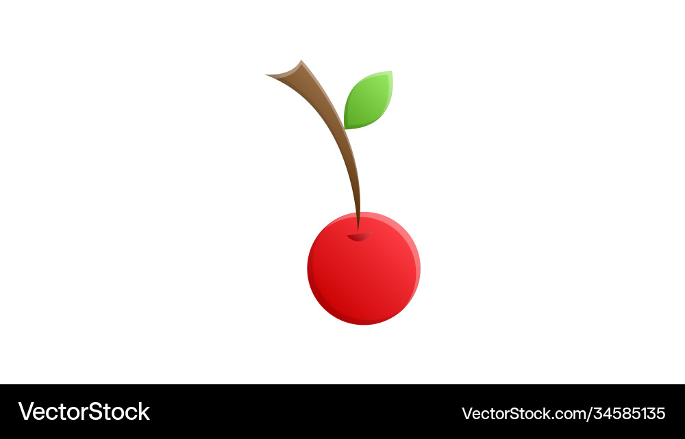 Cranberry on a white background red berry Vector Image