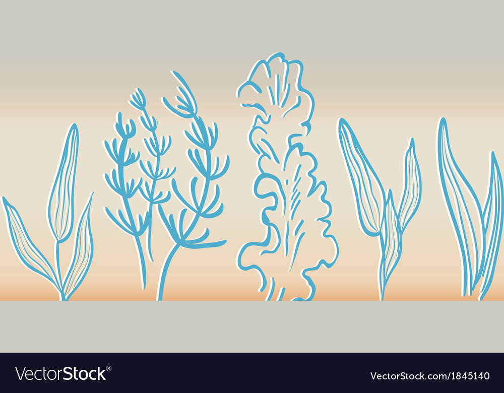 Algae Royalty Free Vector Image - VectorStock