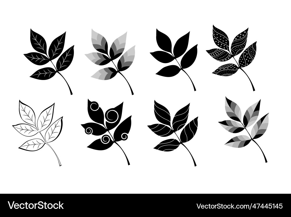 A set of stylized tree leaves collection Vector Image