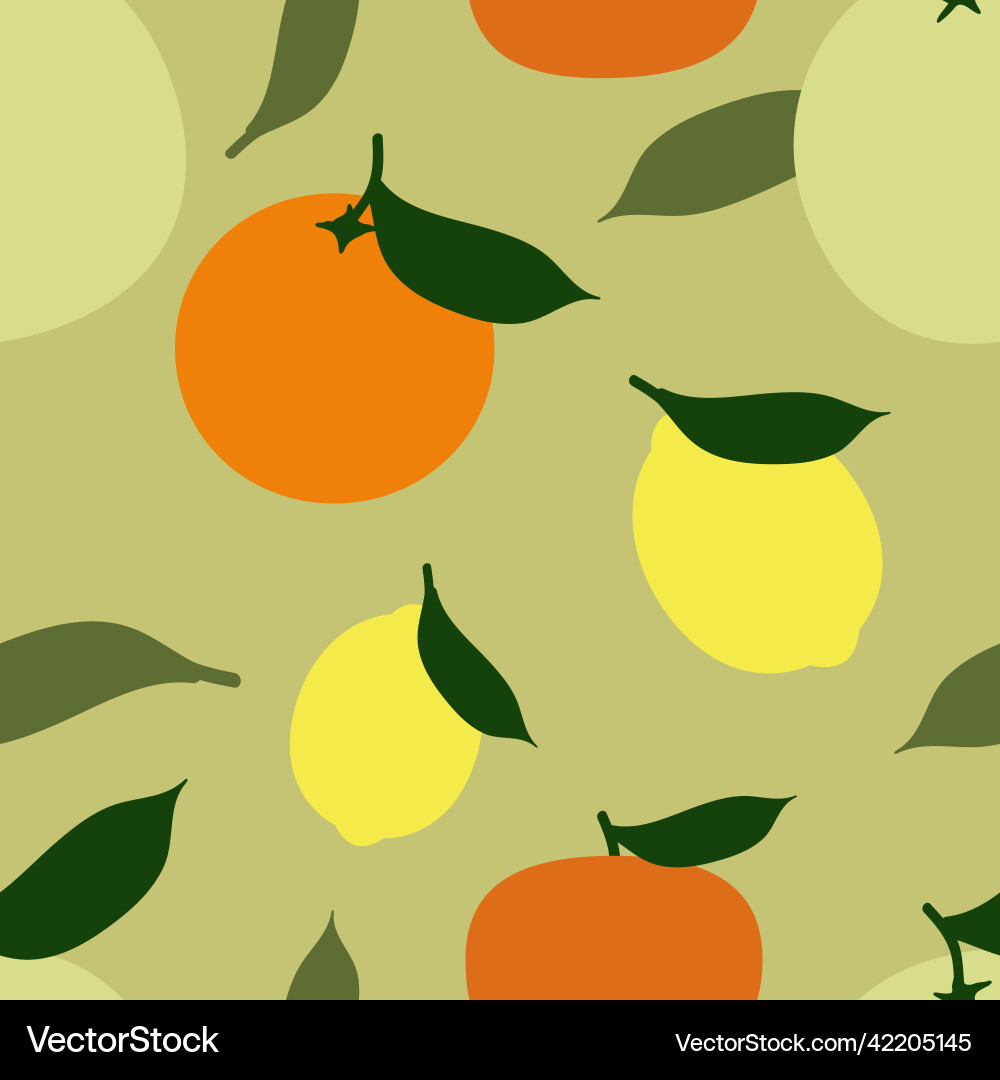 Citrus fruits Royalty Free Vector Image - VectorStock