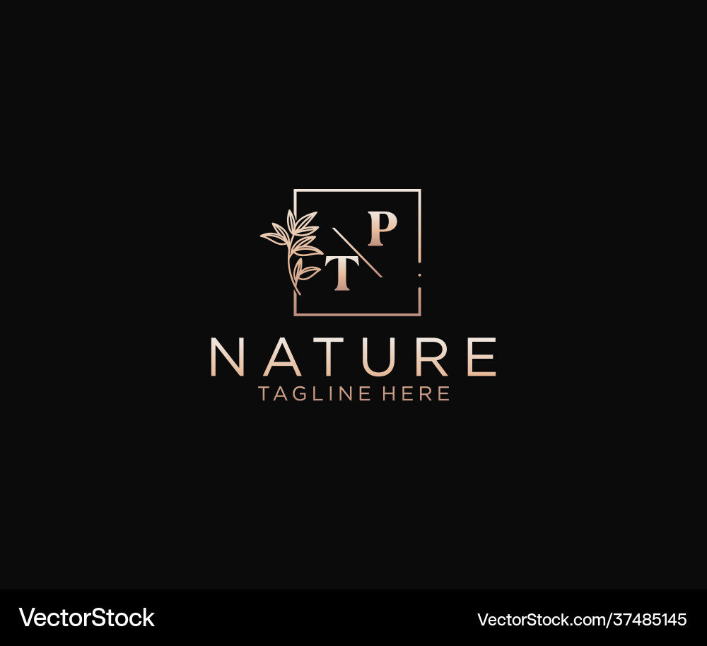 Initial pt letters beautiful floral feminine Vector Image