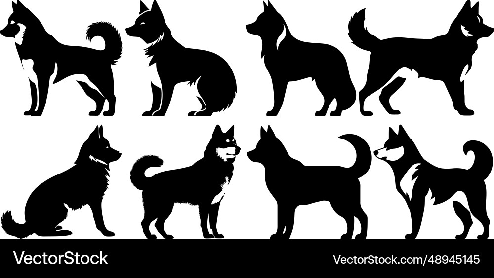Shiba inu dog Royalty Free Vector Image - VectorStock