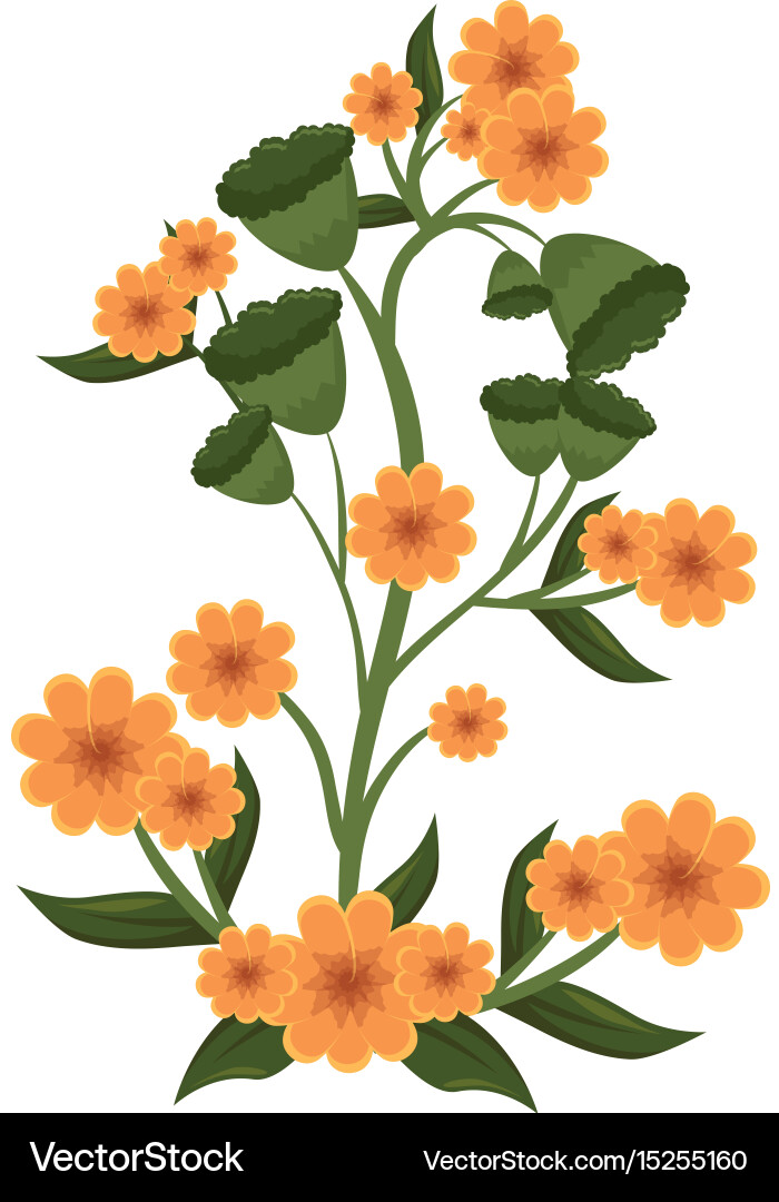 Beautiful flowers design Royalty Free Vector Image