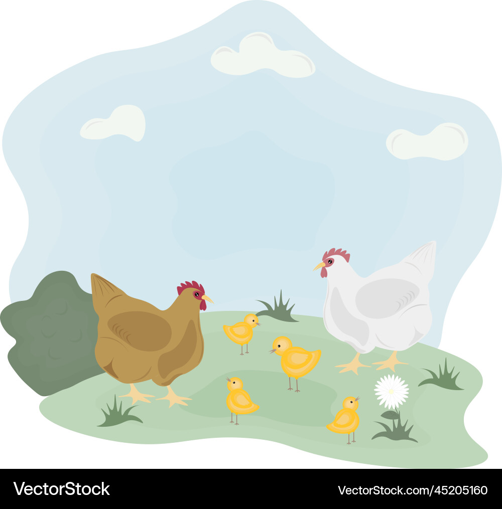 Hens with chicks in the meadow Royalty Free Vector Image