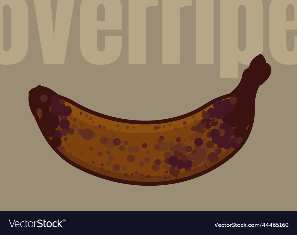 Overripe Banana The Stage Of Full Ripening Vector Image