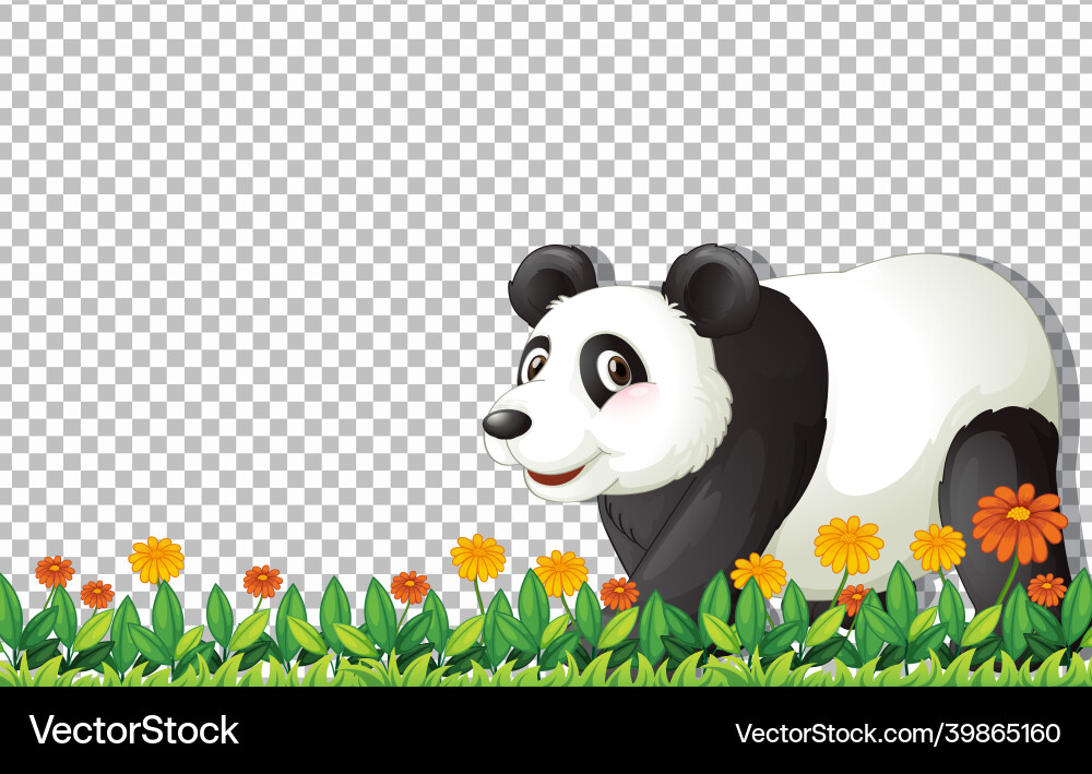 Panda bear walking on green grass transparent Vector Image
