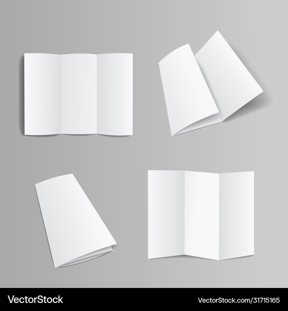 Blank trifold brochure booklet or leaflet Vector Image