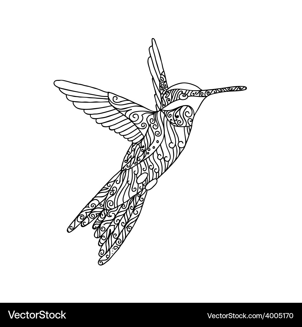 Black lace hand drawn doodle colibri Royalty Free Vector