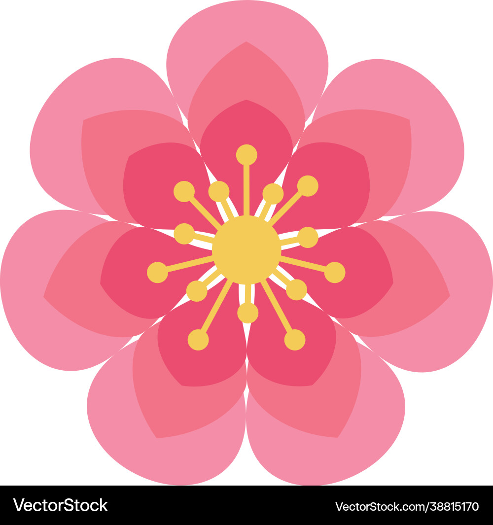 Pink chinese flower Royalty Free Vector Image - VectorStock
