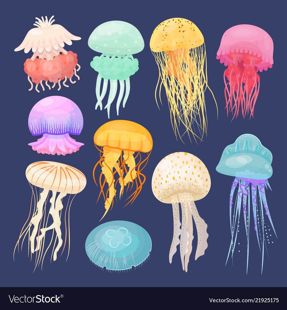 Ocean jellyfish bright set on dark blue Royalty Free Vector