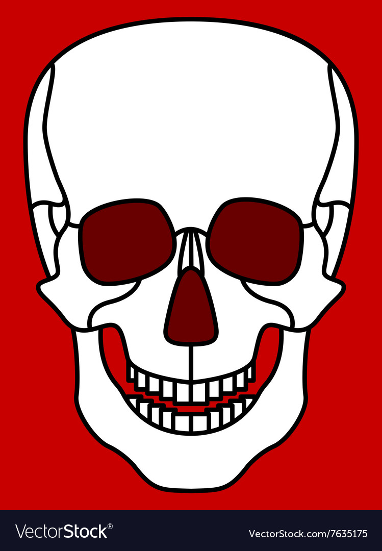 Skull Royalty Free Vector Image - VectorStock