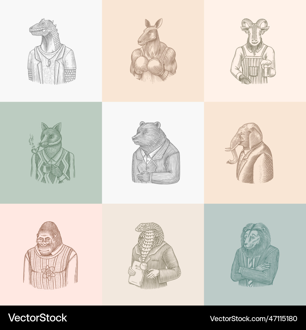 Grizzly bear octopus t-rex dinosaur elephant Vector Image