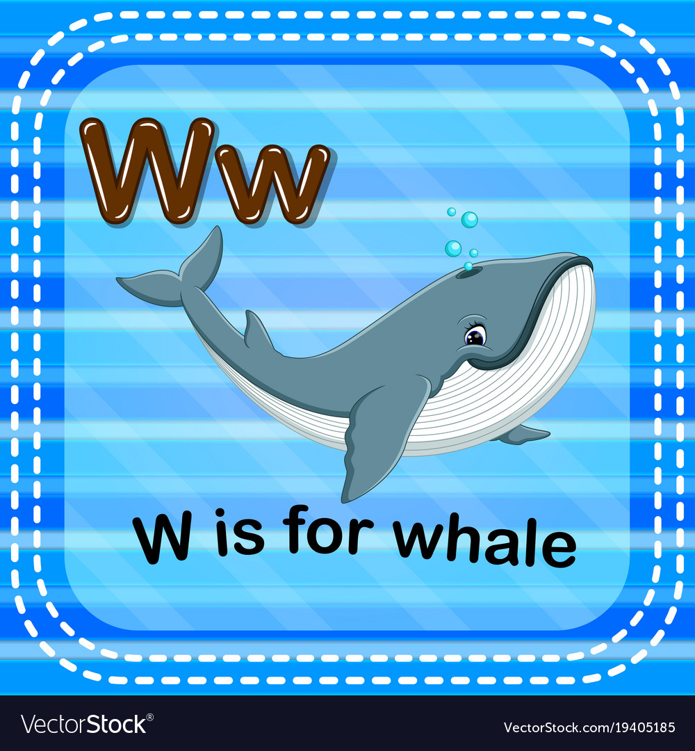 Flashcard letter w is for whale Royalty Free Vector Image