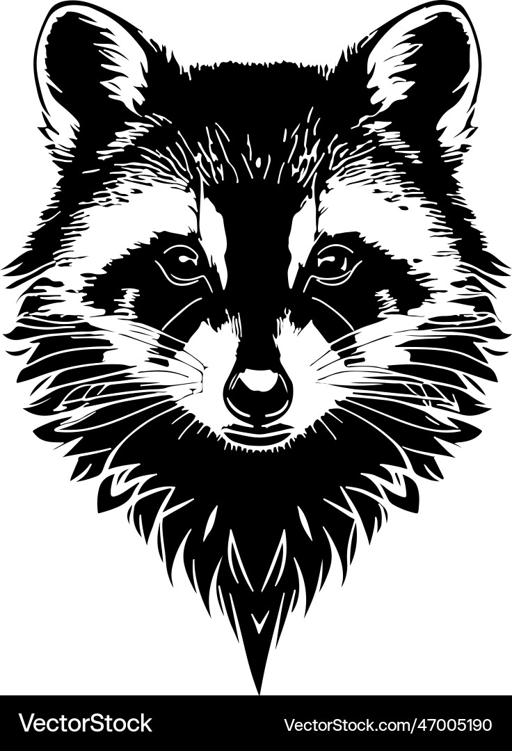 Great and powerful raccoon emblem art Royalty Free Vector