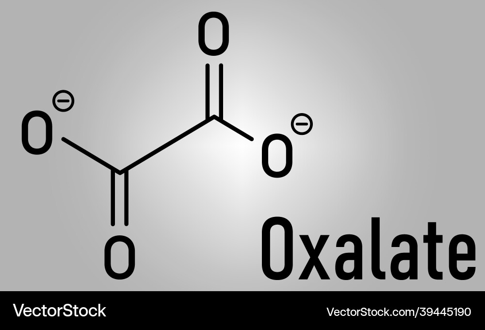 Oxalate anion chemical structure skeletal formula Vector Image