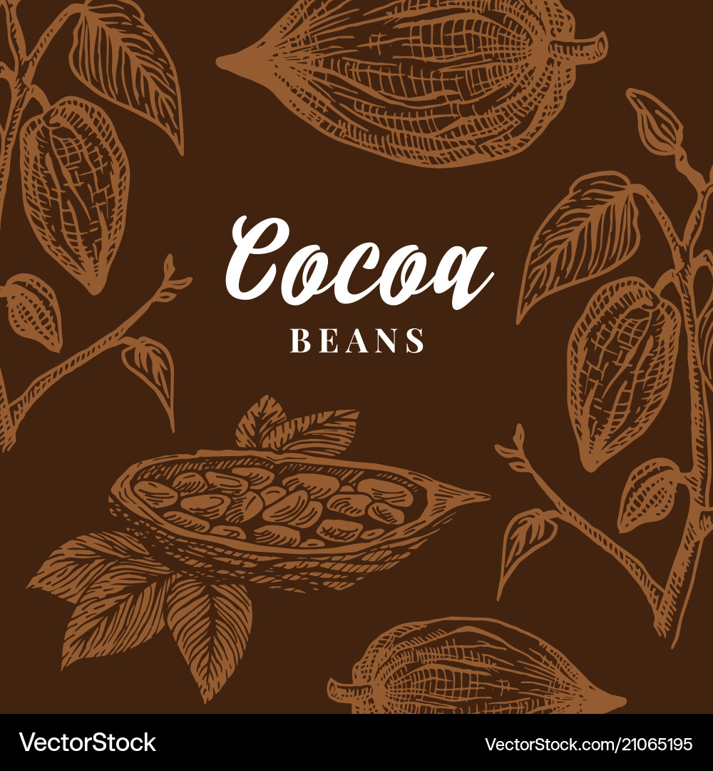 Hand drawn cocoa beans card abstract cacao Vector Image