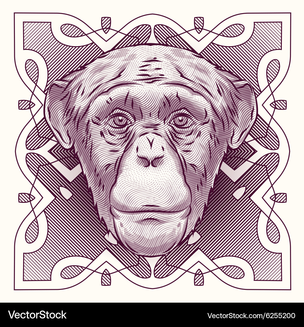 Hand drawn portrait of monkey isolated Royalty Free Vector