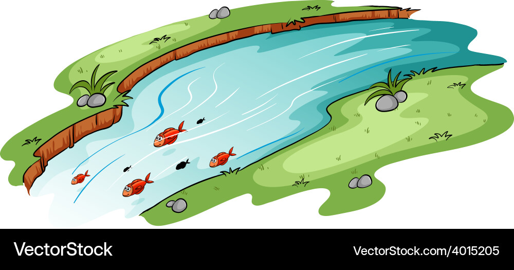 A river with school of fish Royalty Free Vector Image