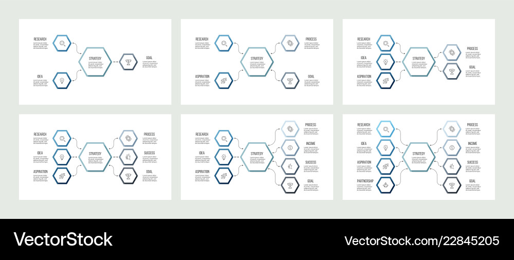 Business infographic organization chart with 3 4 Vector Image