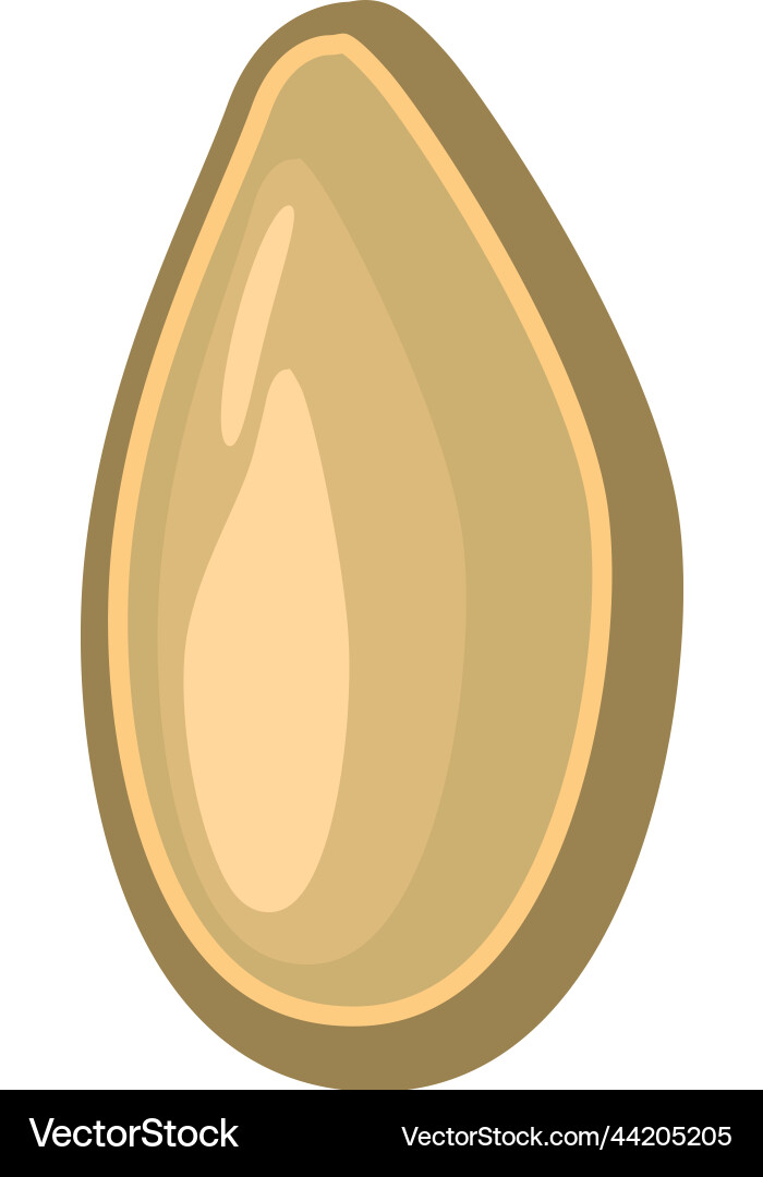 Grain Seed Vector