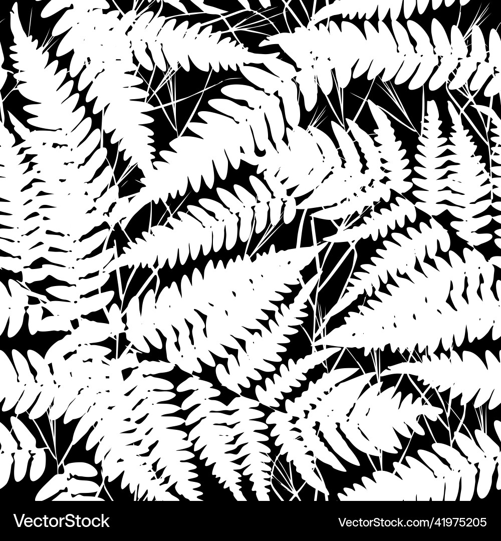 Seamless pattern with leafs tropical fern palm Vector Image