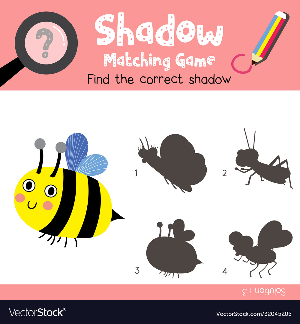 Shadow matching game bee side view animal cartoon Vector Image