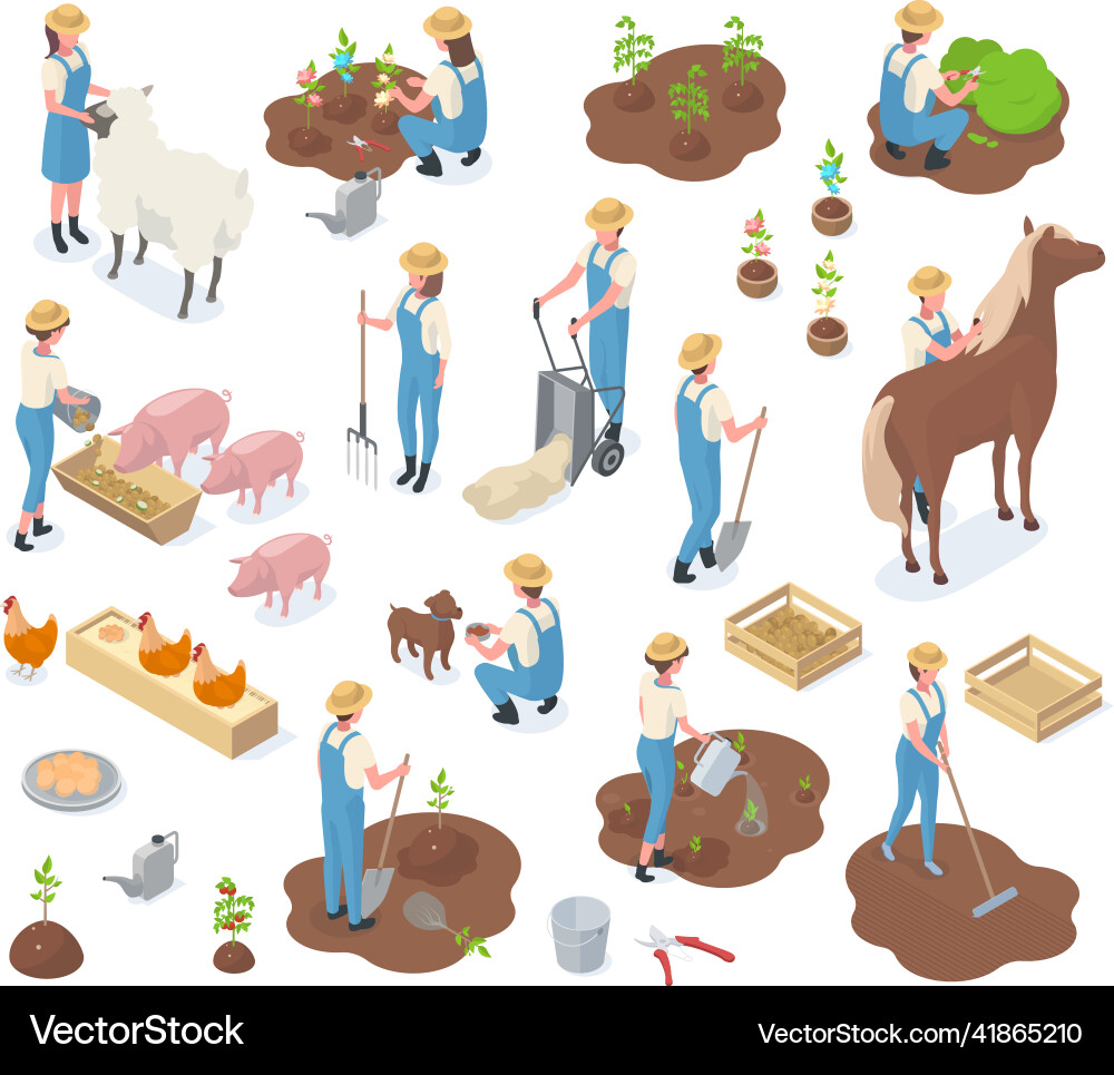 Isometric garden agriculture elements farmers Vector Image
