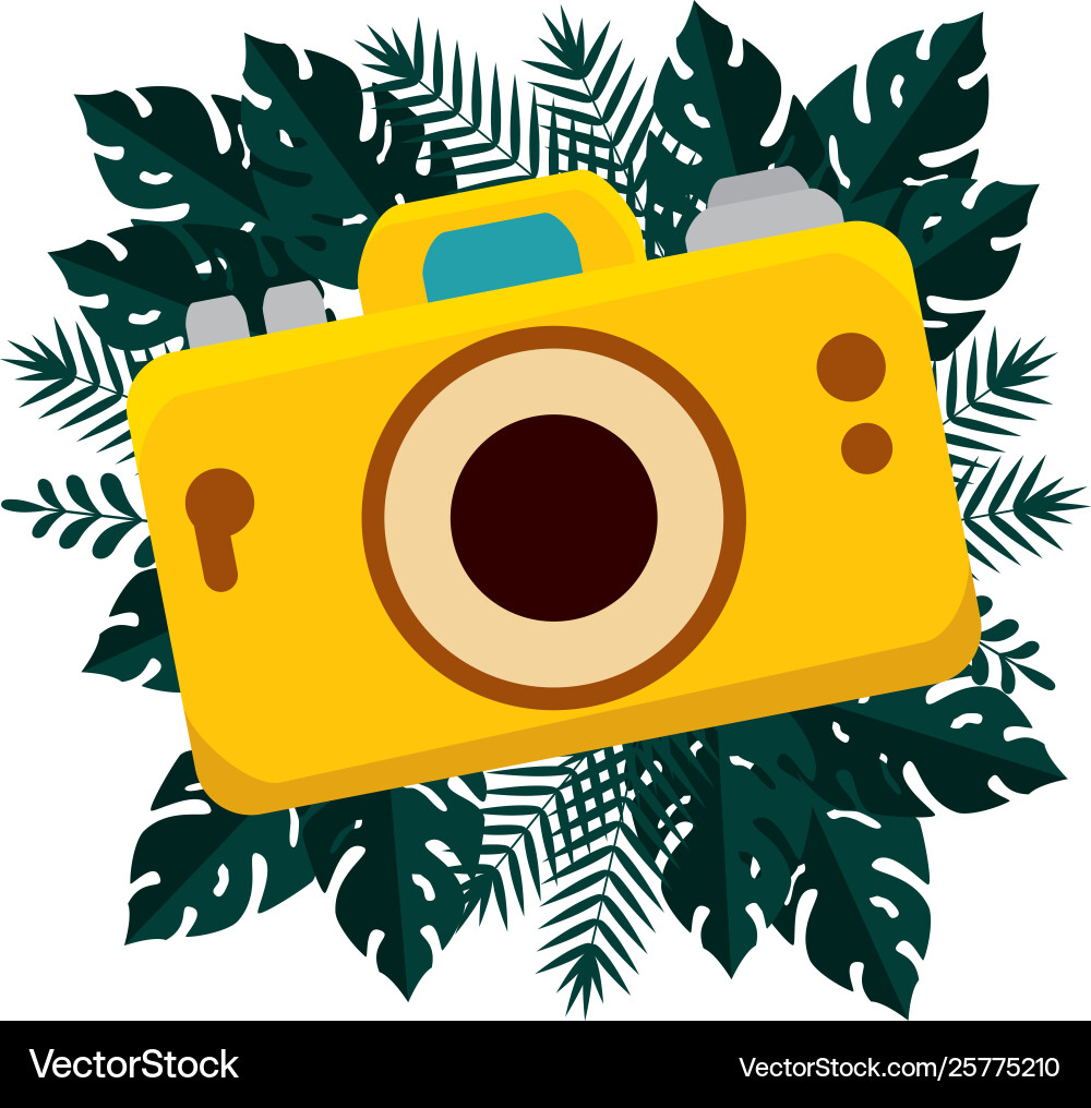 Summer camera photographic and tropical leafs Vector Image