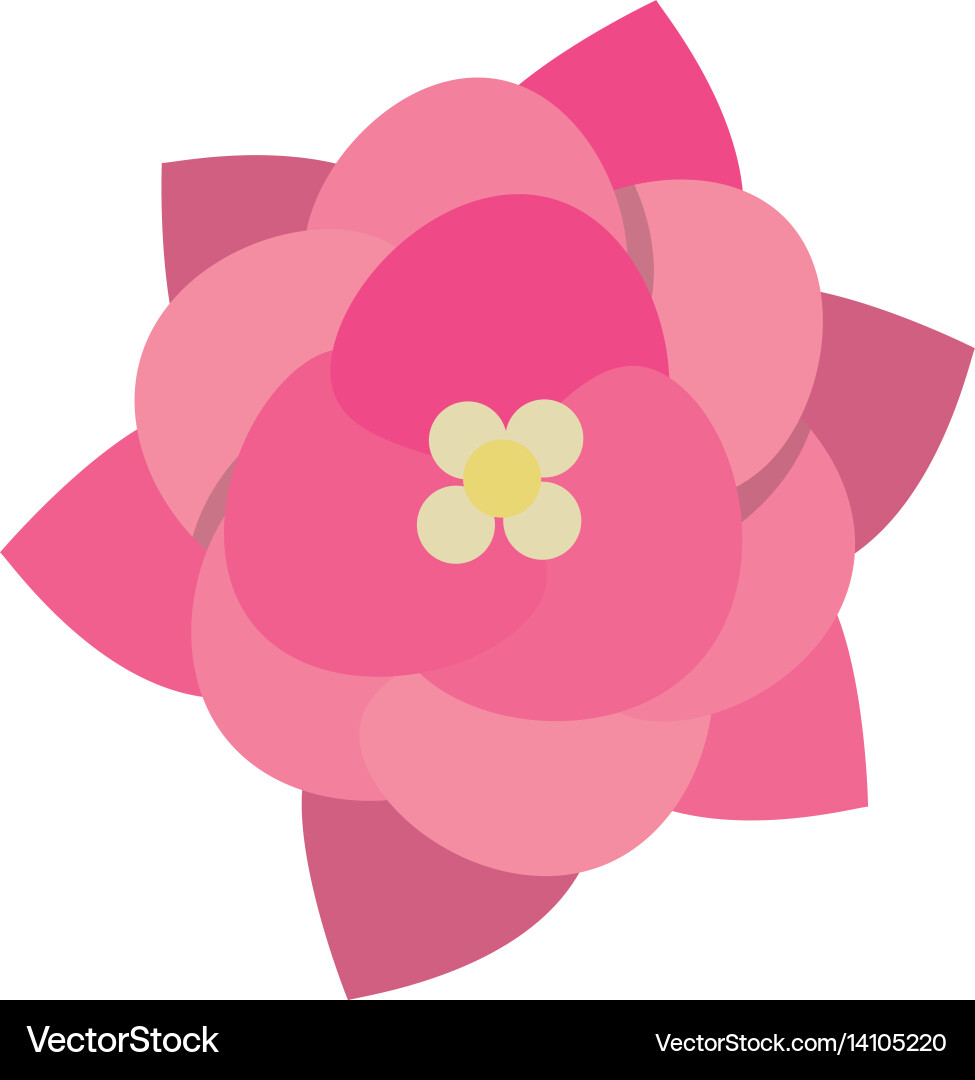 Beauty flower nature decorative Royalty Free Vector Image