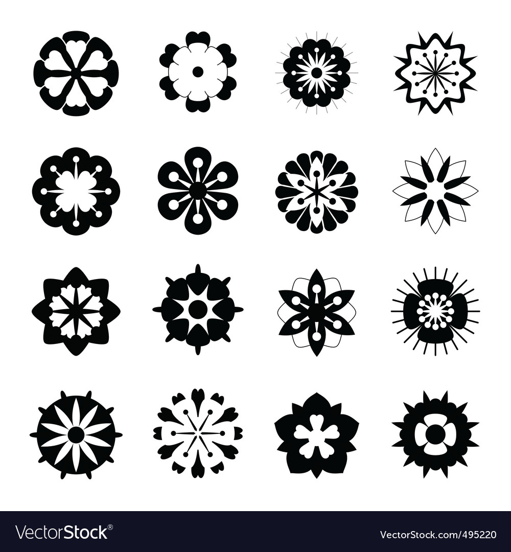 Floral design elements Royalty Free Vector Image