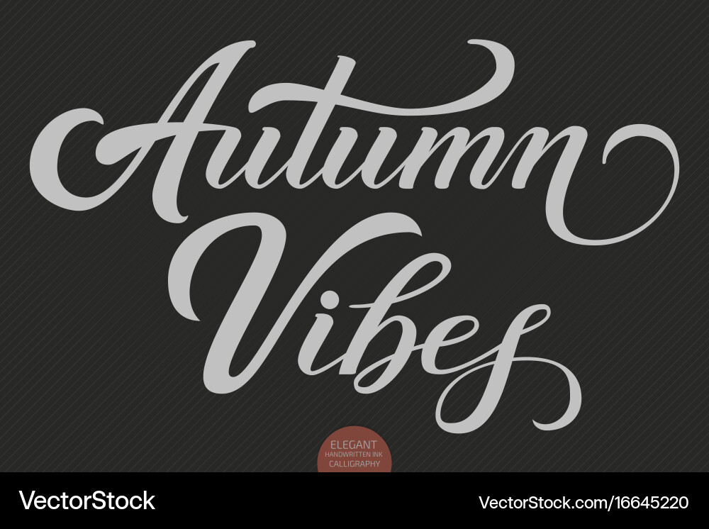 Hand drawn lettering - welcome vibes elegant Vector Image