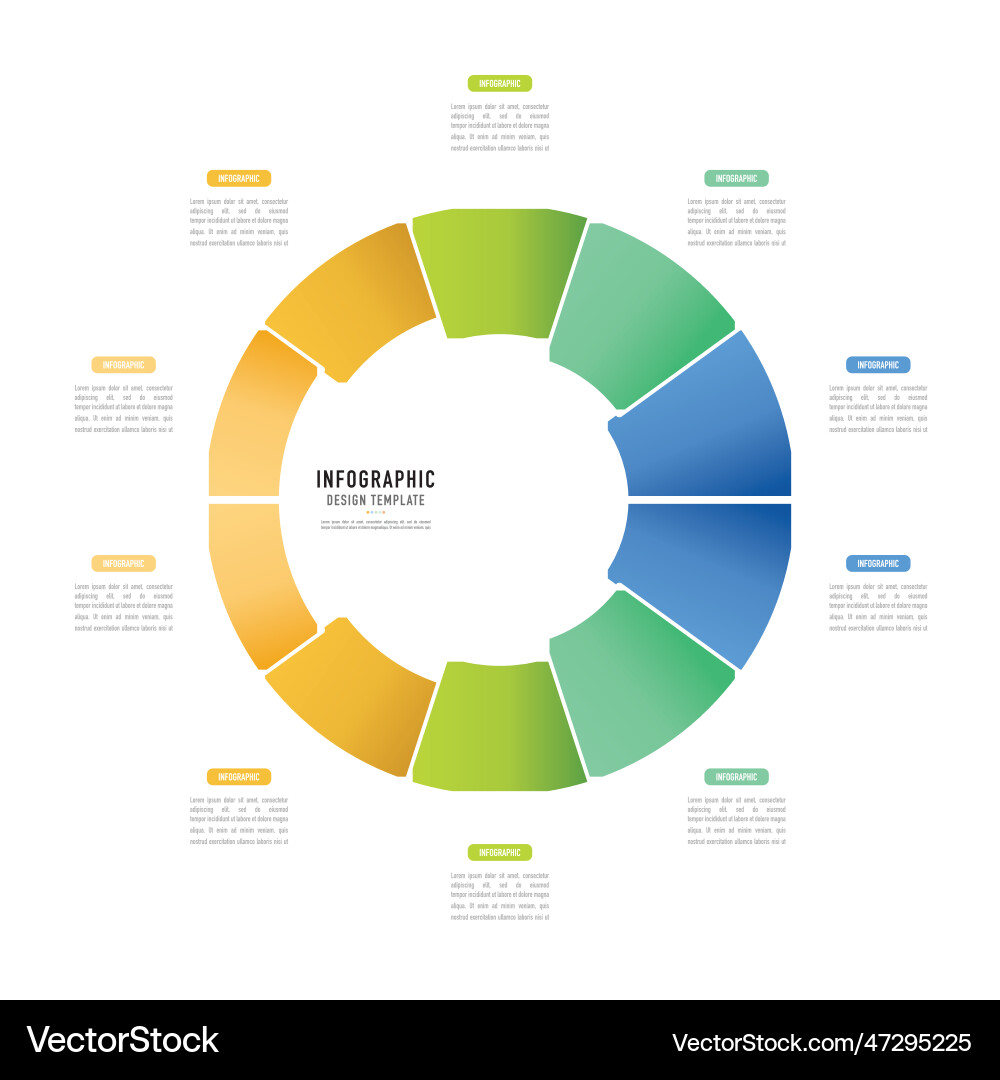 Circular or pie chart infographic for business Vector Image