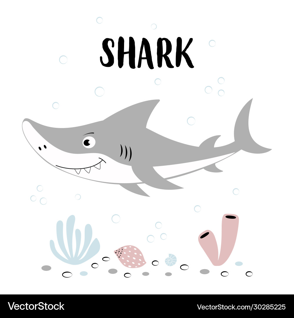 Cute shark with lettering isolated on white Vector Image