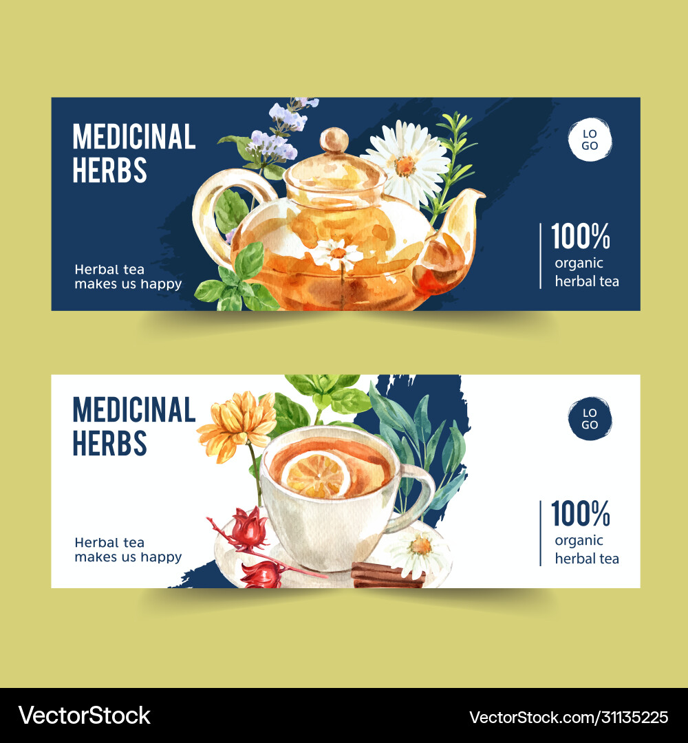 Herbal tea banner design with chamomile roselle Vector Image