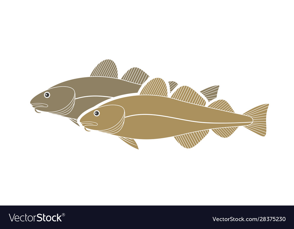 Cod Royalty Free Vector Image - VectorStock