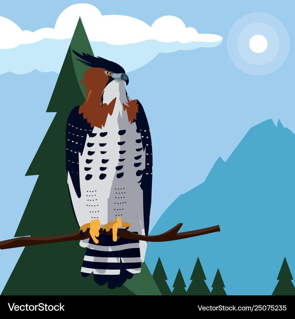 Beautiful hawk in tree branch landscape scene Vector Image