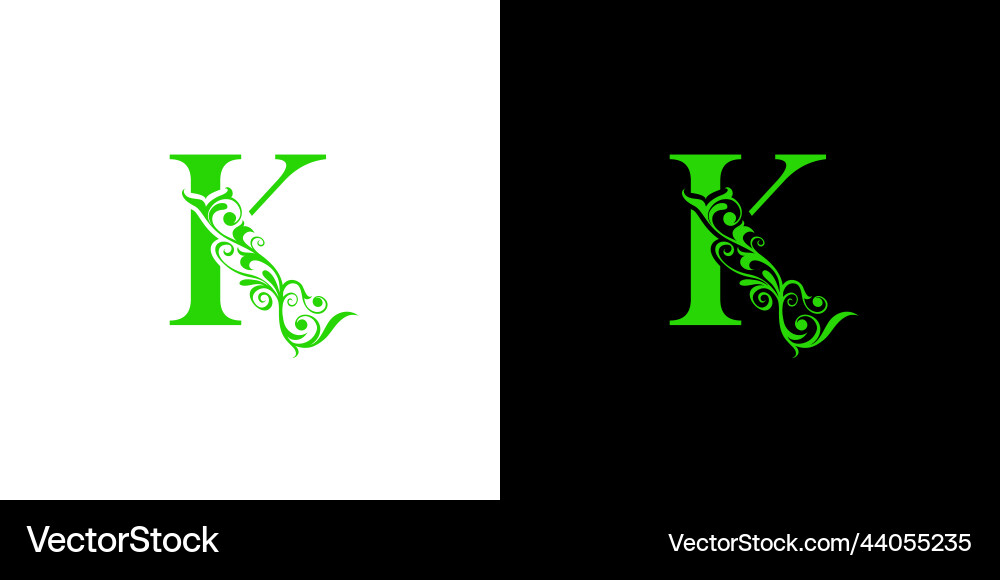 Modern and natural letter k initials logo design Vector Image