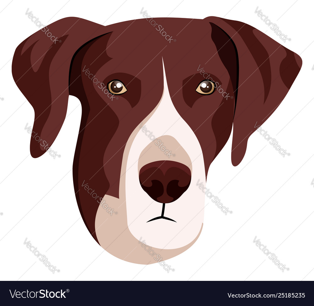 Pointer on white background Royalty Free Vector Image